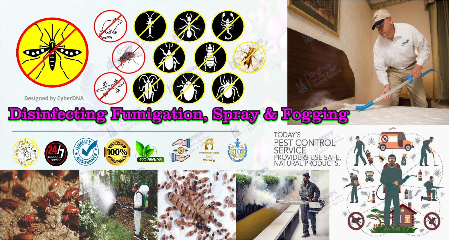 No. 1 High Quality Deemak Control Pest control Services