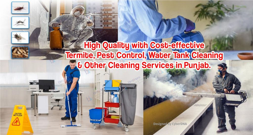 No. 1 High Quality Deemak Control Pest control Services